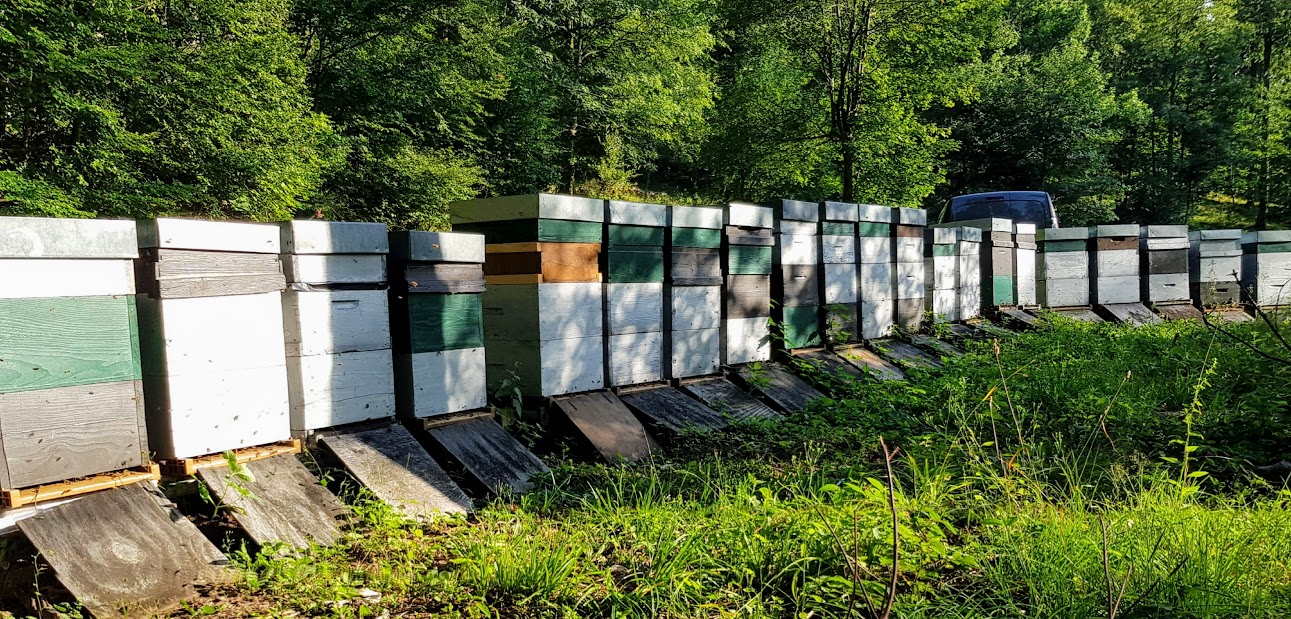 Apiculture et Produits de la Ruche : M. Joël CORRE – COMMUNE DE ...
